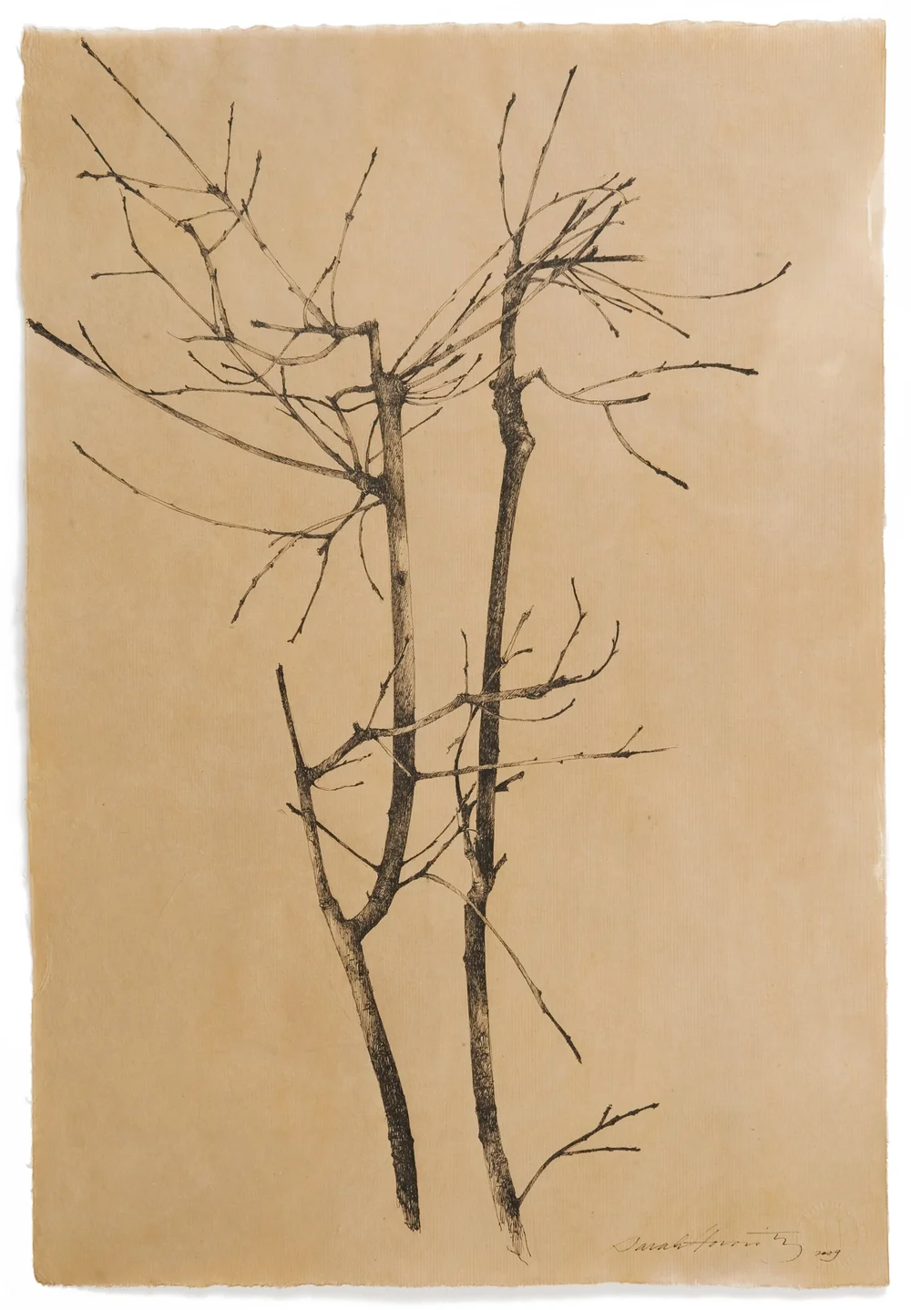 Archives 2003-10 — Sarah Horowitz