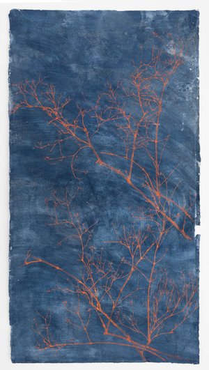 Surface Tension — Sarah Horowitz