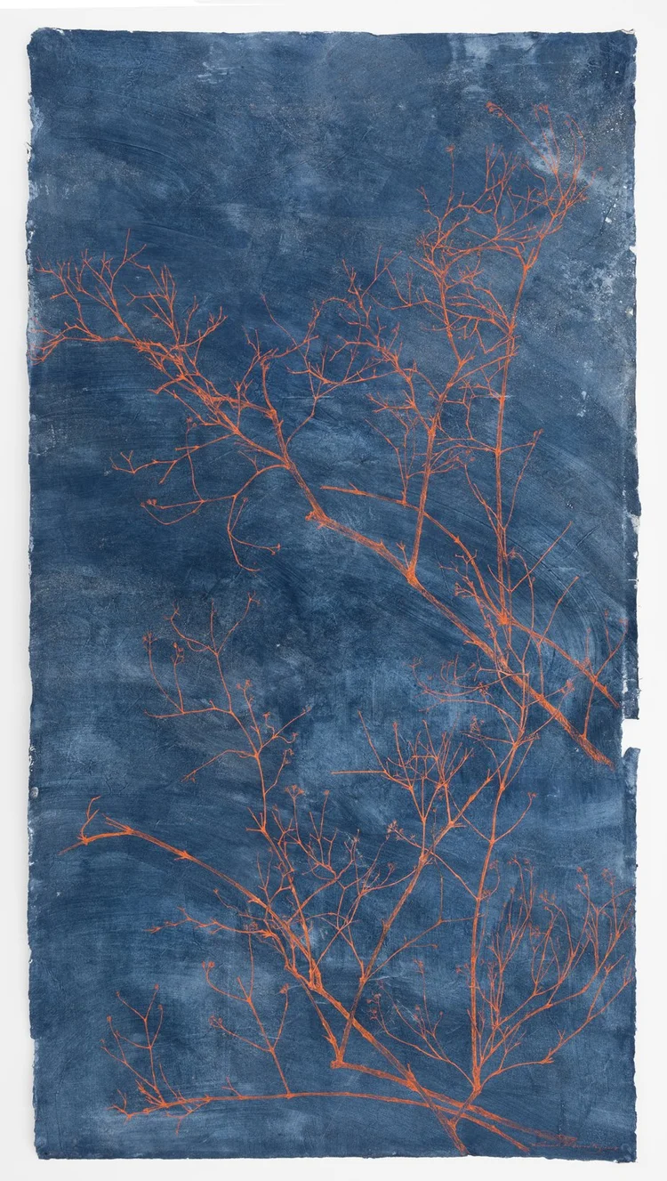 Surface Tension — Sarah Horowitz