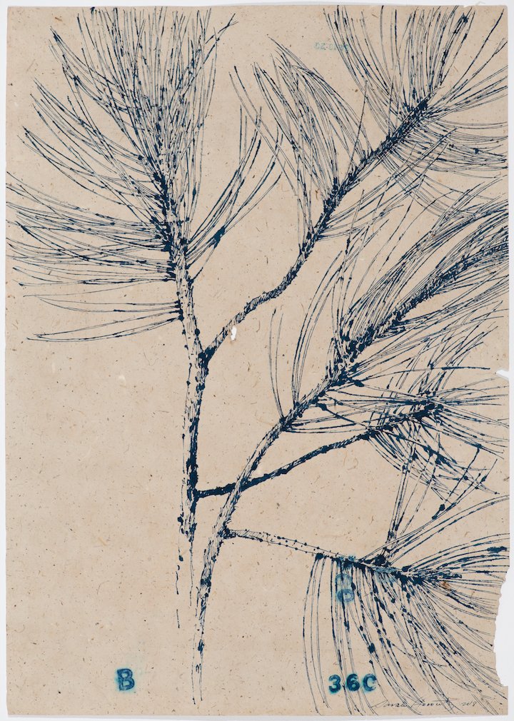 Surface Tension — Sarah Horowitz