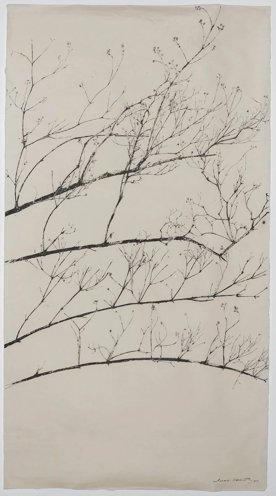 Surface Tension — Sarah Horowitz