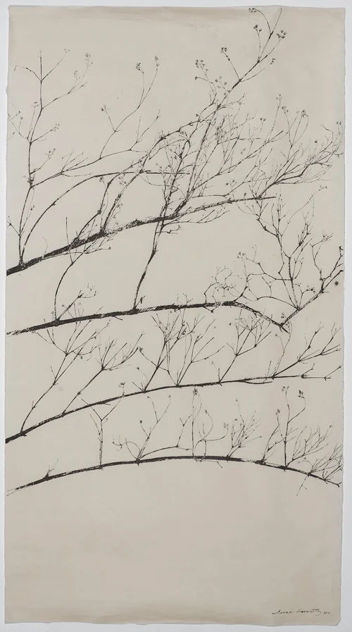 Surface Tension — Sarah Horowitz