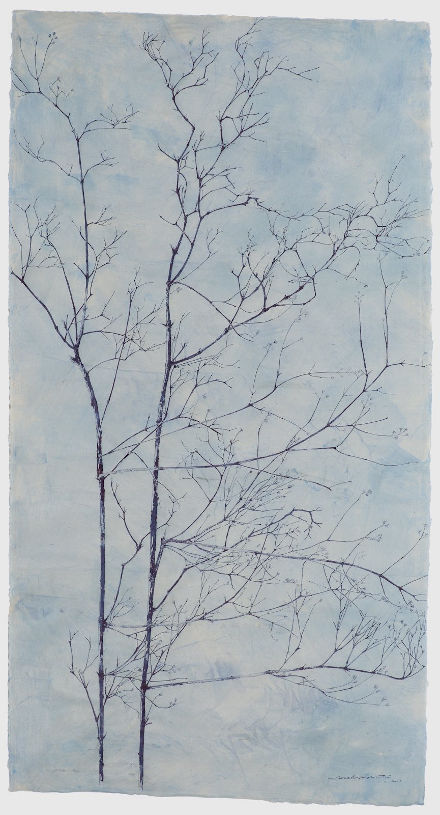 Surface Tension — Sarah Horowitz