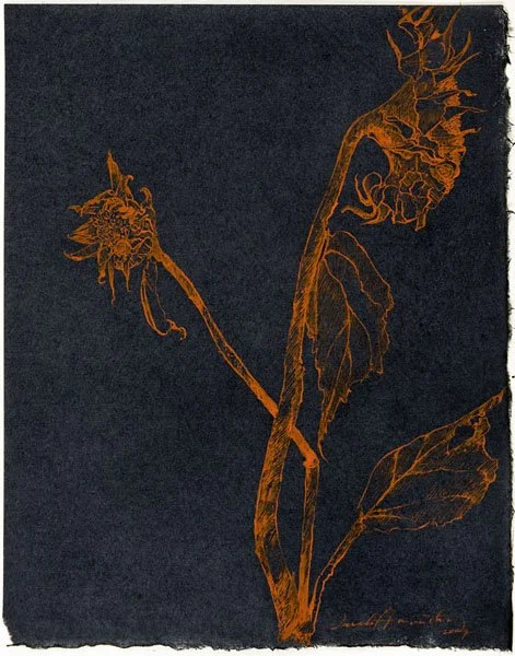 Archives 2003-10 — Sarah Horowitz