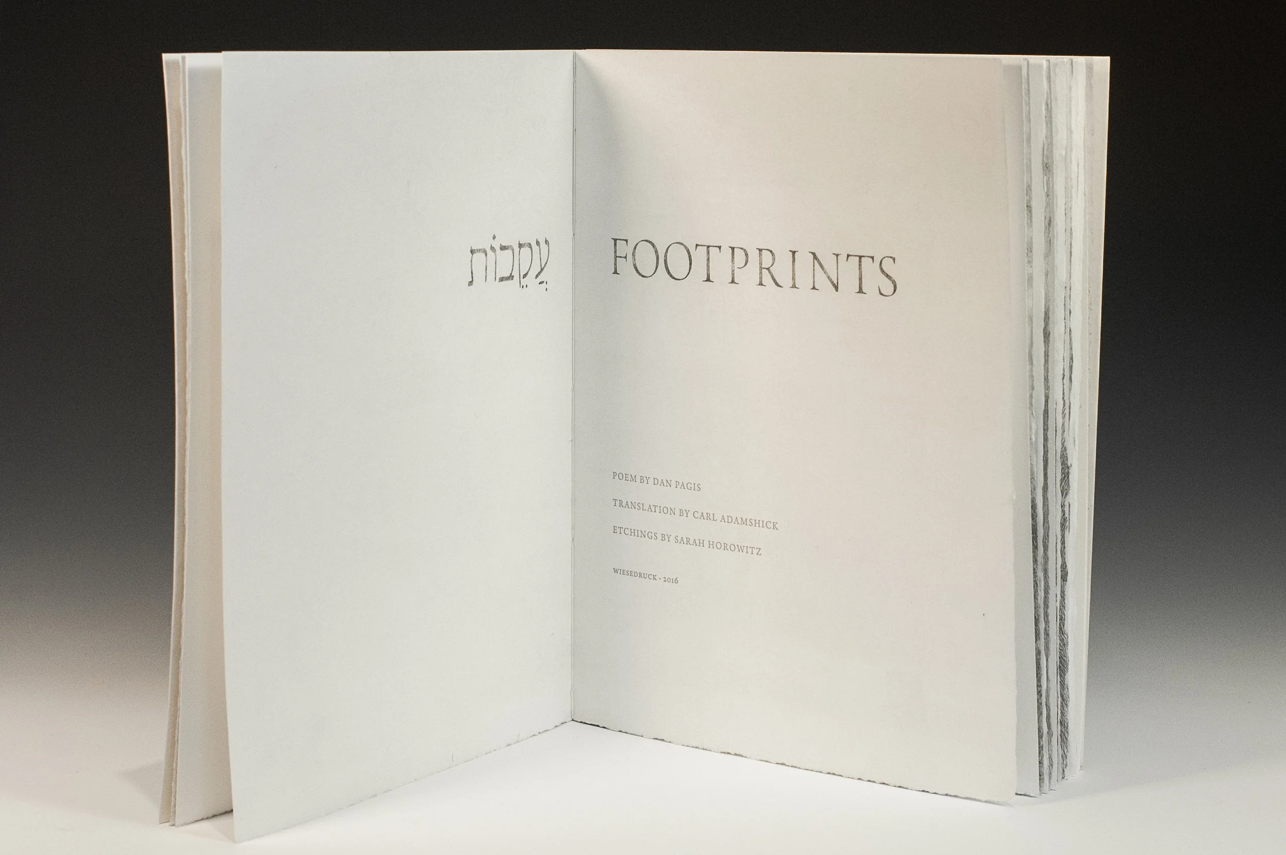 Artist's Books — Sarah Horowitz