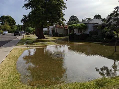 Irrigation & Water District — RVNA-PHX