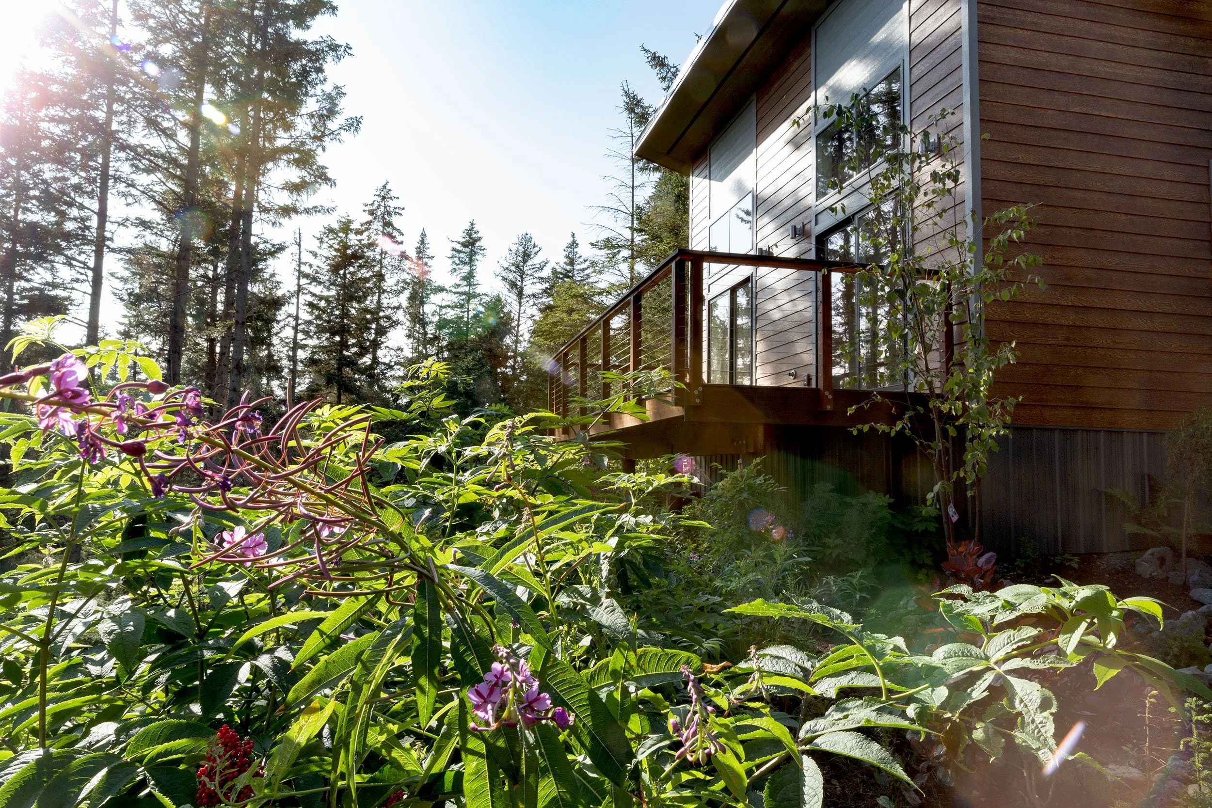 All-Inclusive Luxury Lodging near Homer, AK | Odyssey Lodge