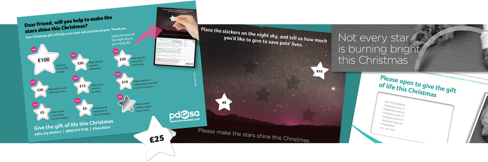 PDSA - ‘SAVE A STAR’ CHRISTMAS CAMPAIGN — MISCHIEVOUS WOLF