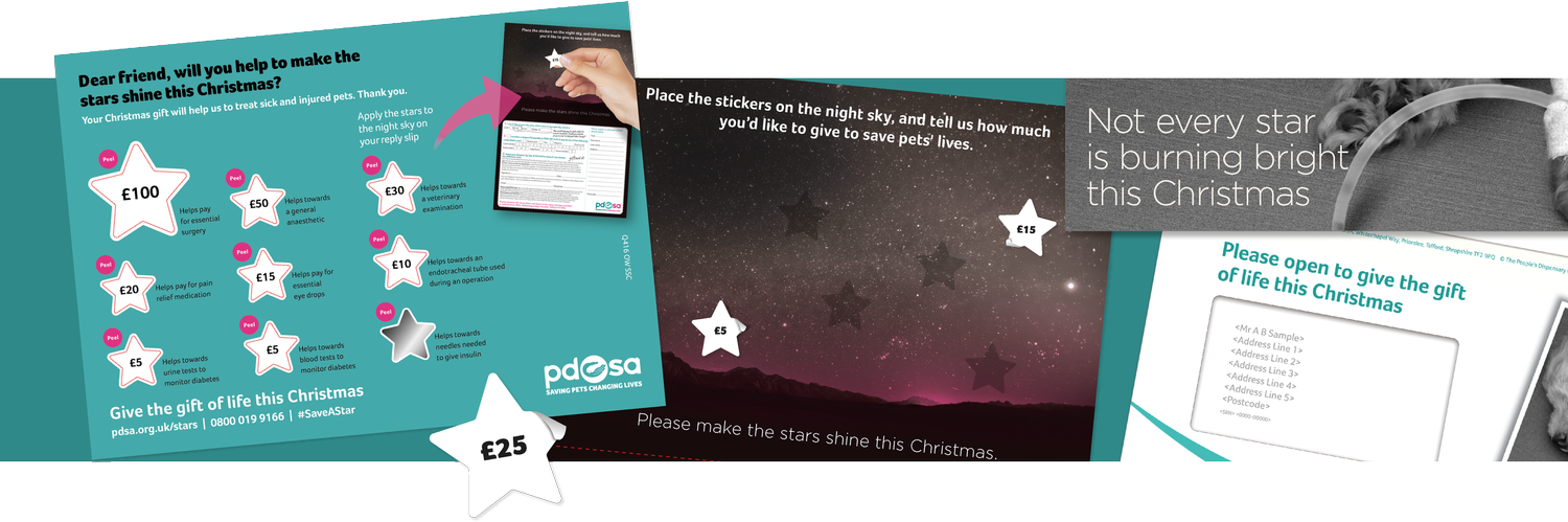 PDSA - ‘SAVE A STAR’ CHRISTMAS CAMPAIGN — MISCHIEVOUS WOLF