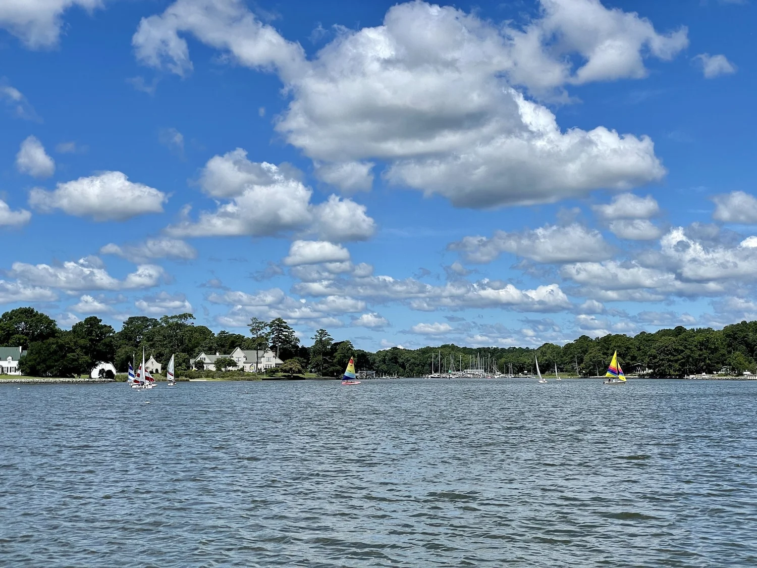 Youth Sailing Lessons — Mathews Yacht Club