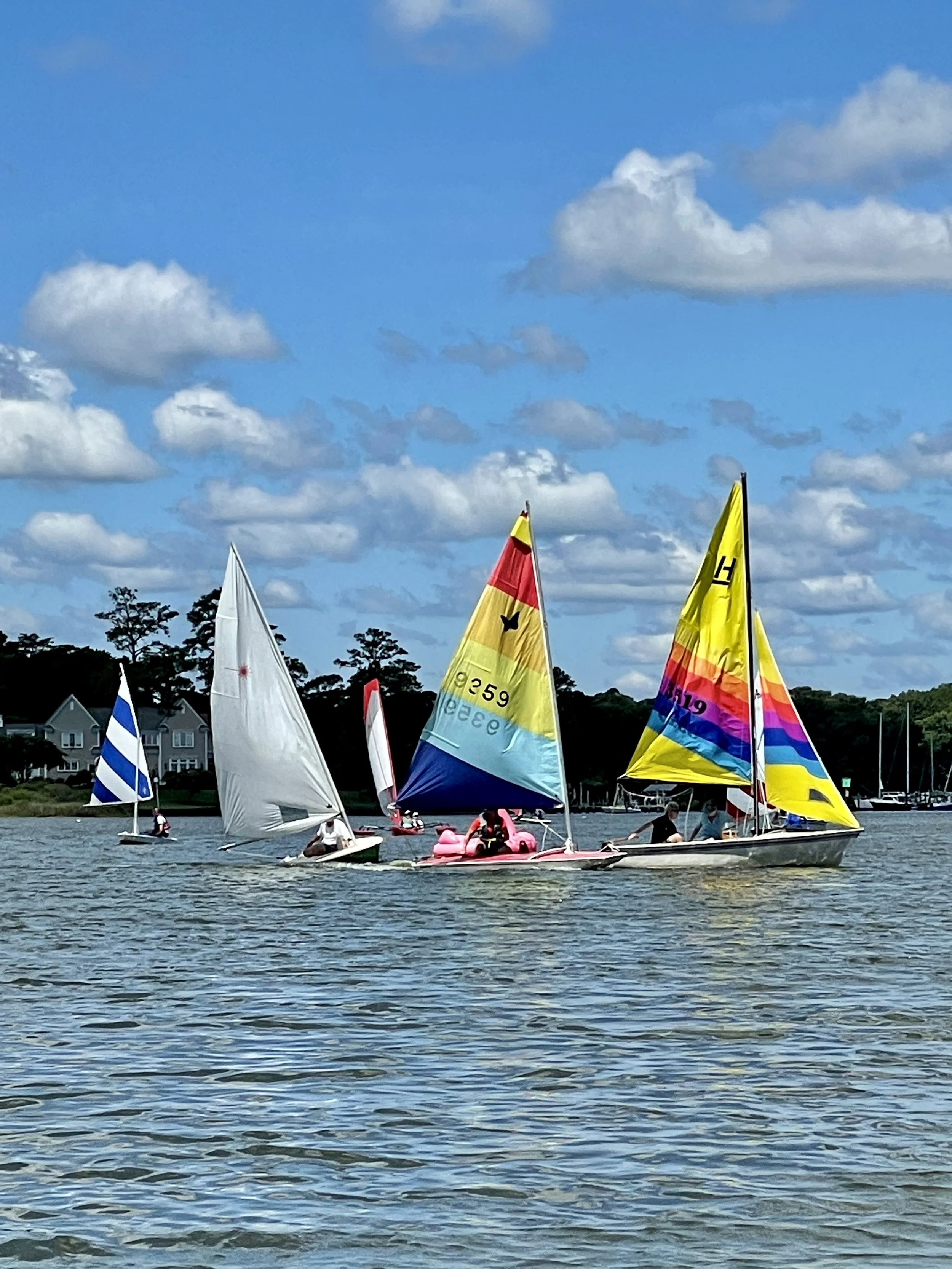 Youth Sailing Lessons — Mathews Yacht Club