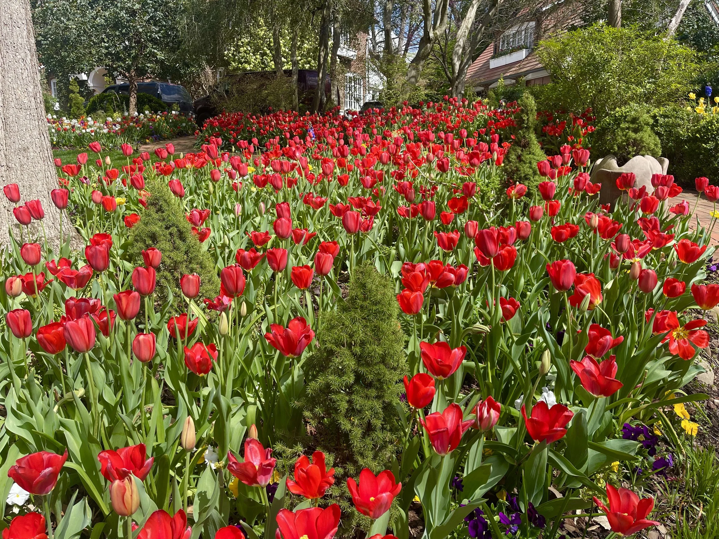 Tilting Windmill Landscape Design