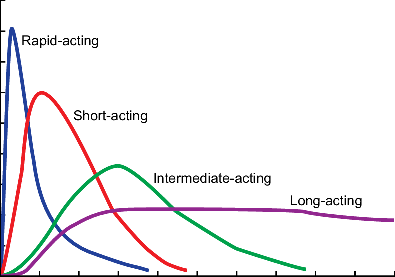 Insulin Types and the Duration of Action — Diabetes Health Literacy ...