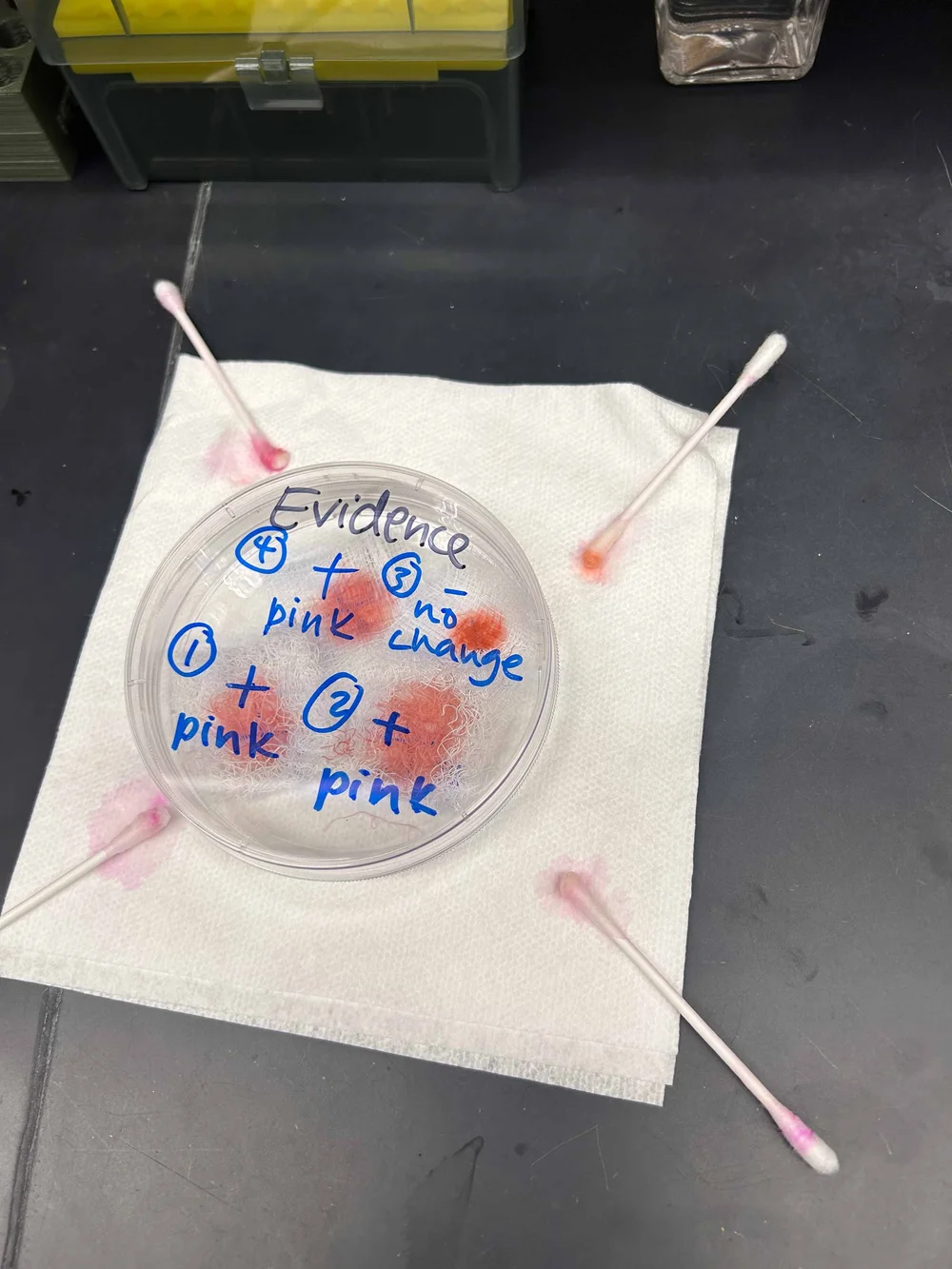 MEDscienceLAB Forensics — HMS MEDscience