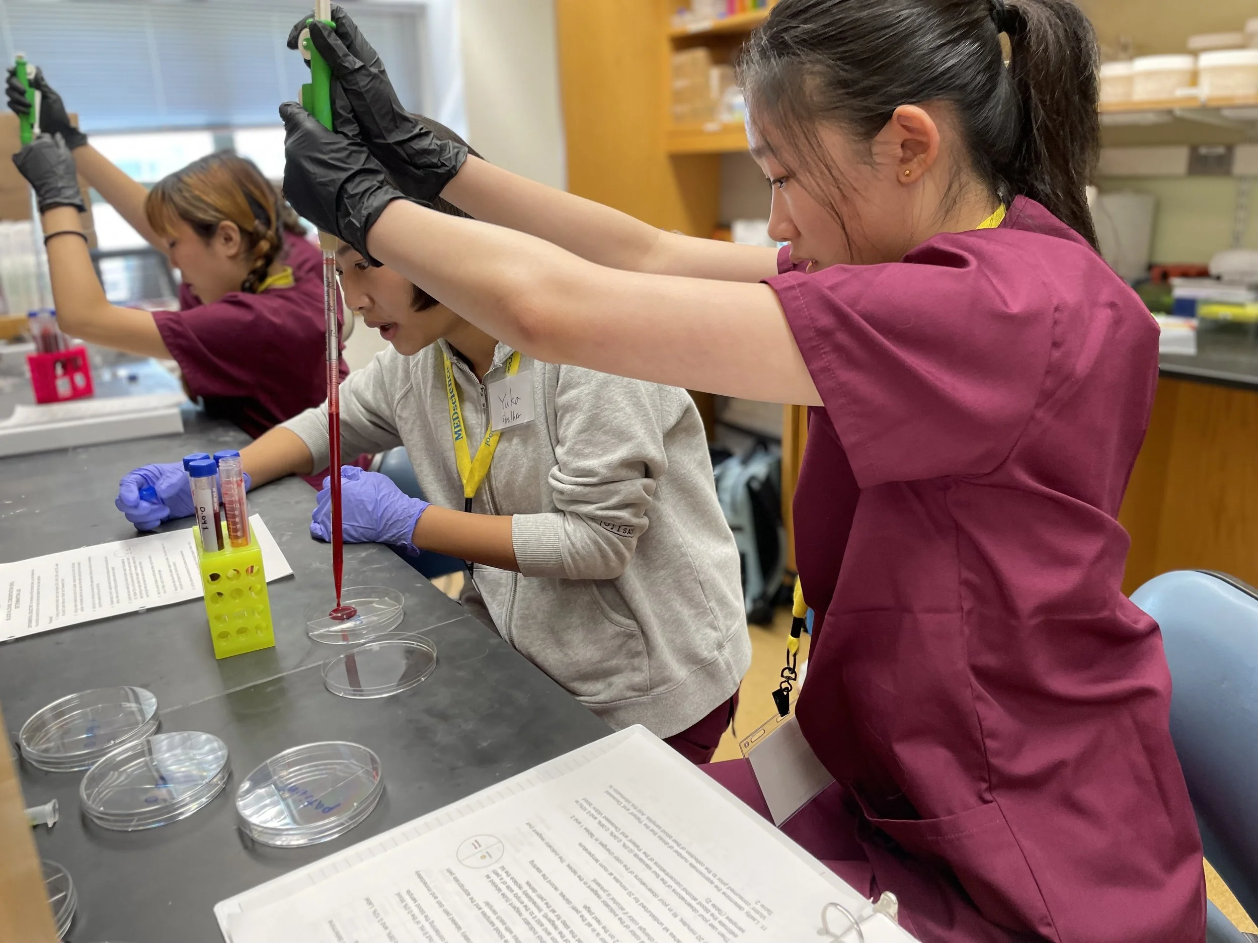MEDscienceLAB Summer — HMS MEDscience
