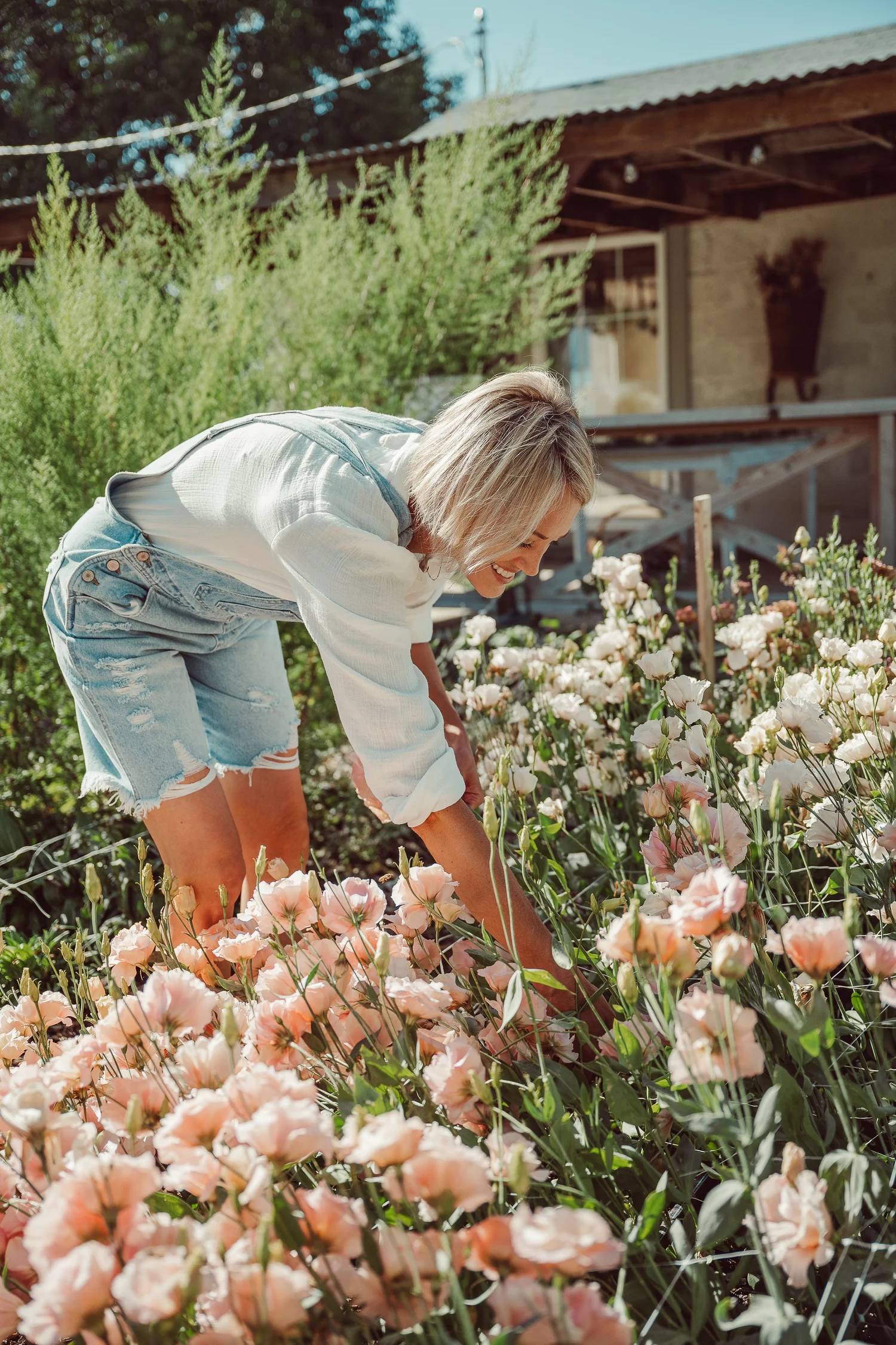 Sunnyside Urban Flower Farm | Discover Beautiful Flowers Today