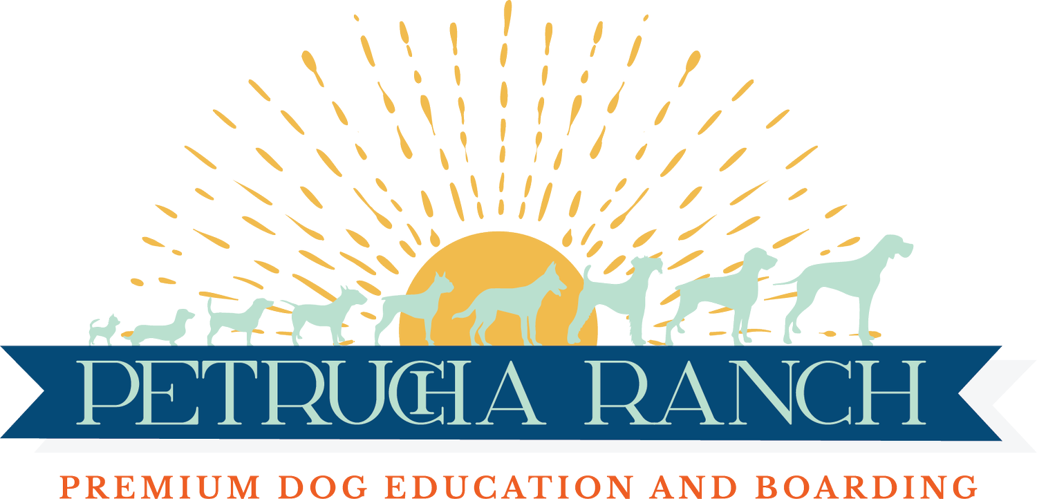 Petrucha Ranch Boarding