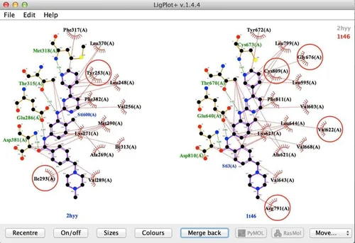 Ligplot — Chemogenomix