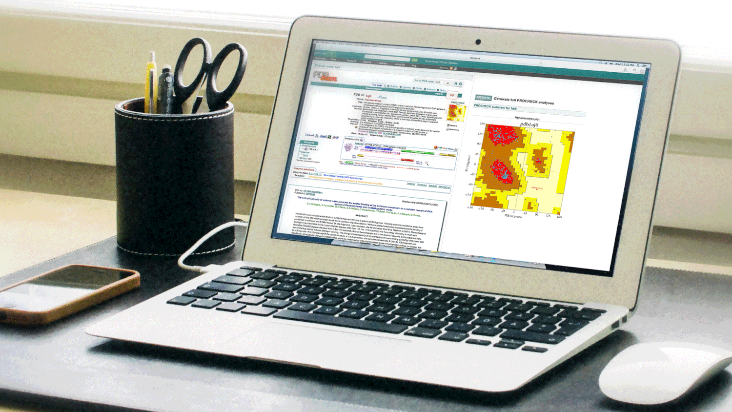 PDBsum — Chemogenomix