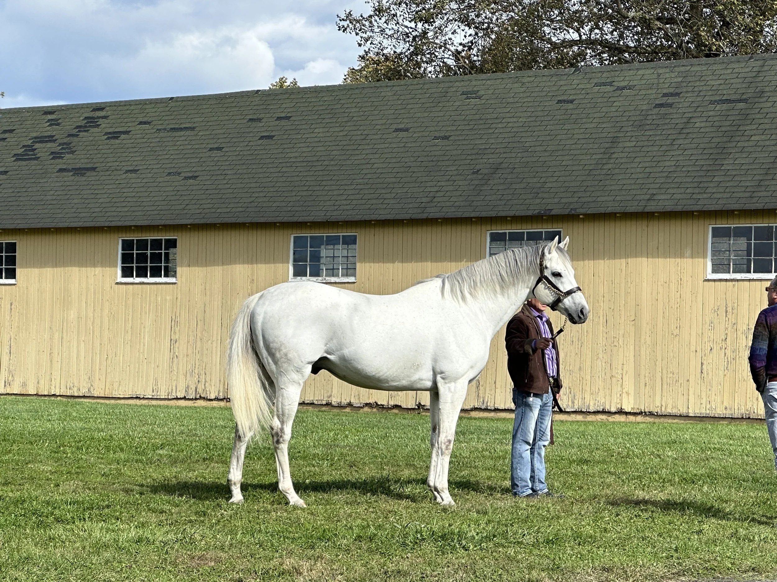 Gallery — Atlanta Hall Farm