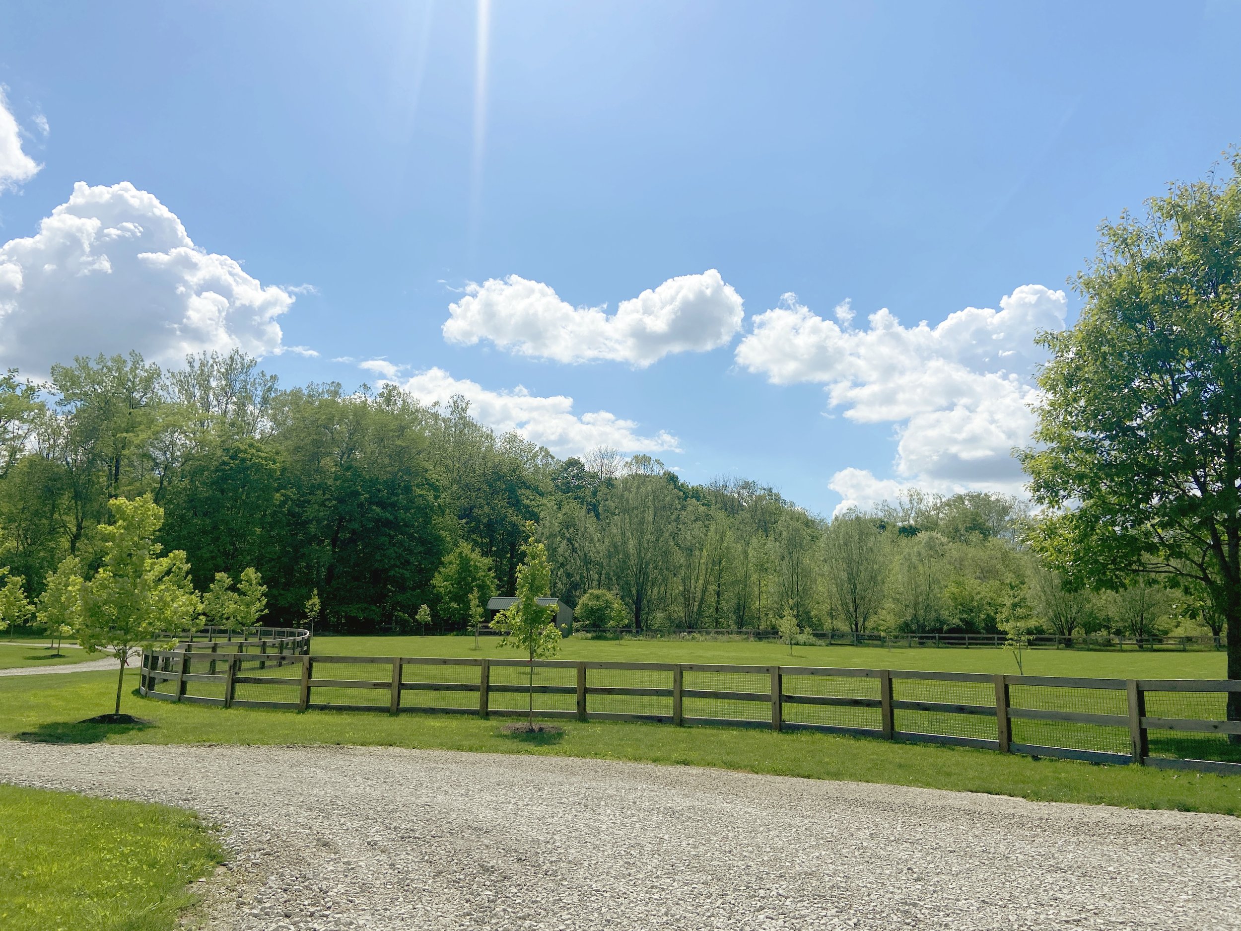 Dog Boarding in Central Ohio – Joel Slaven's Dog Lodge
