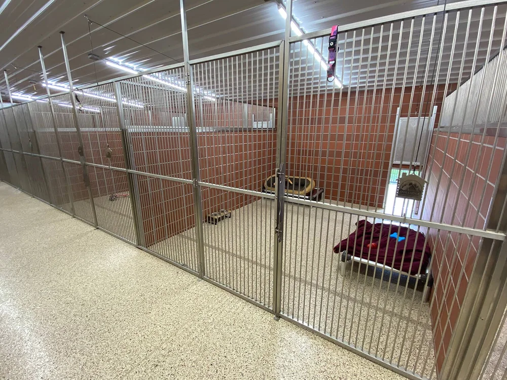 Dog Training Gallery – Joel Slaven's Dog Lodge