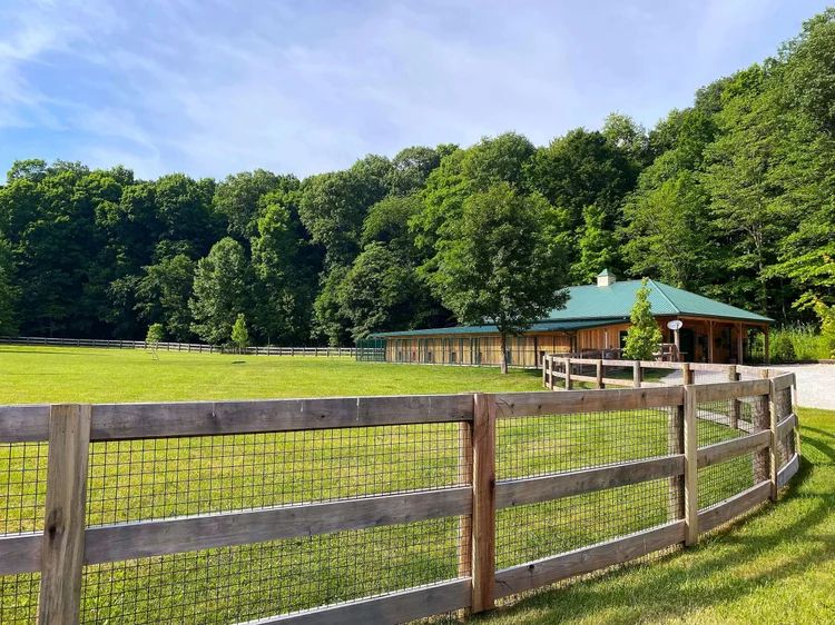 Personalized Dog Training in Central Ohio – Joel Slaven's Dog Lodge