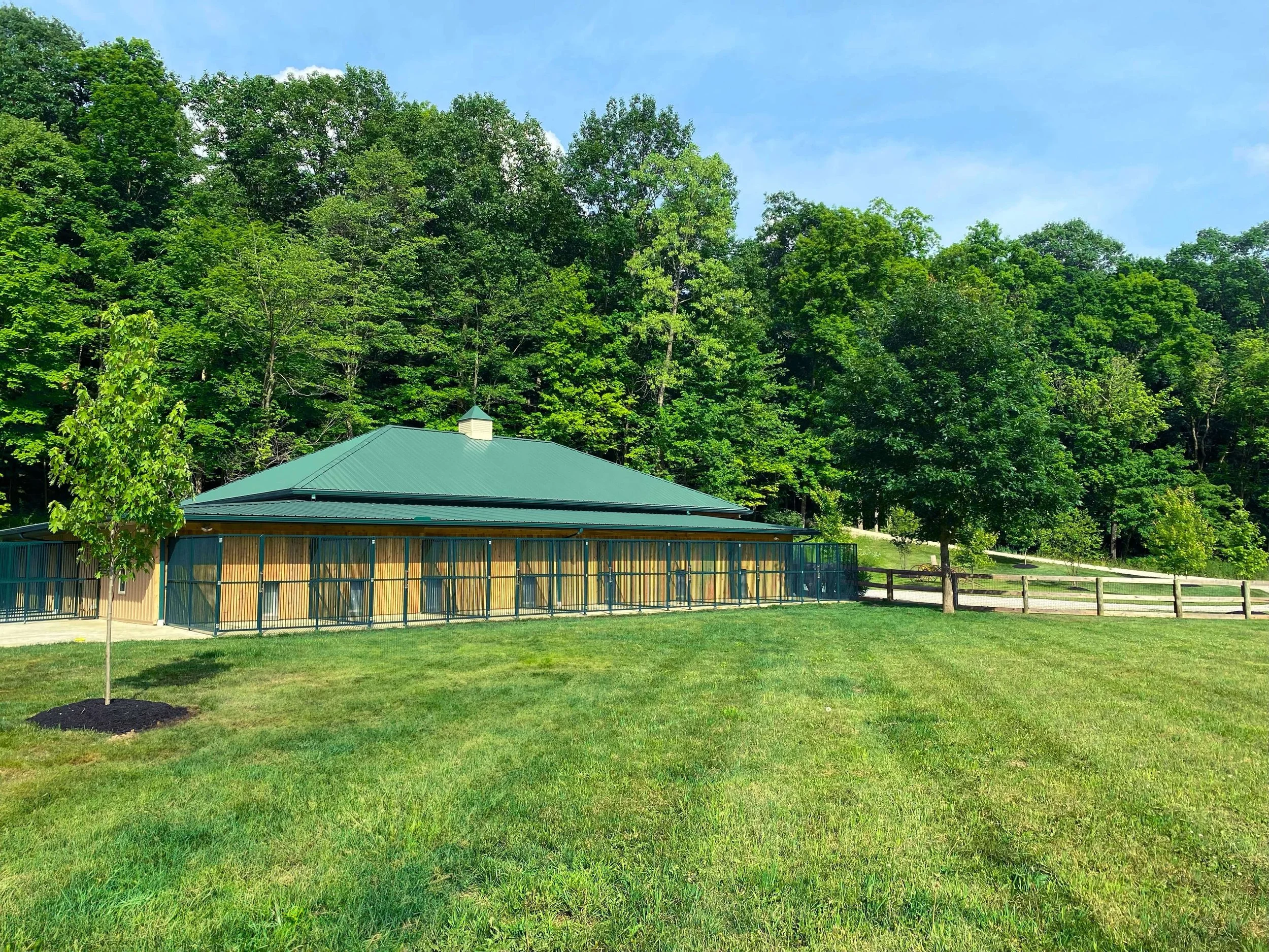 Dog Boarding in Central Ohio – Joel Slaven's Dog Lodge