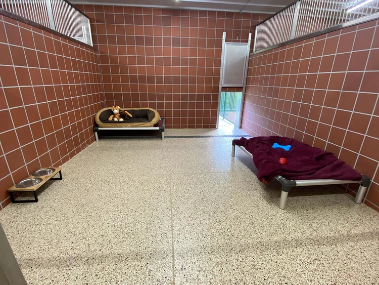 Dog Boarding in Central Ohio – Joel Slaven's Dog Lodge