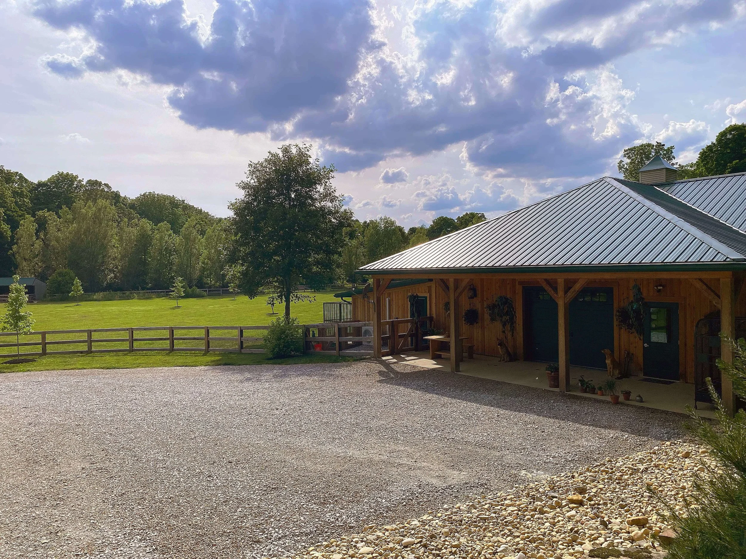 Personalized Dog Training in Central Ohio – Joel Slaven's Dog Lodge