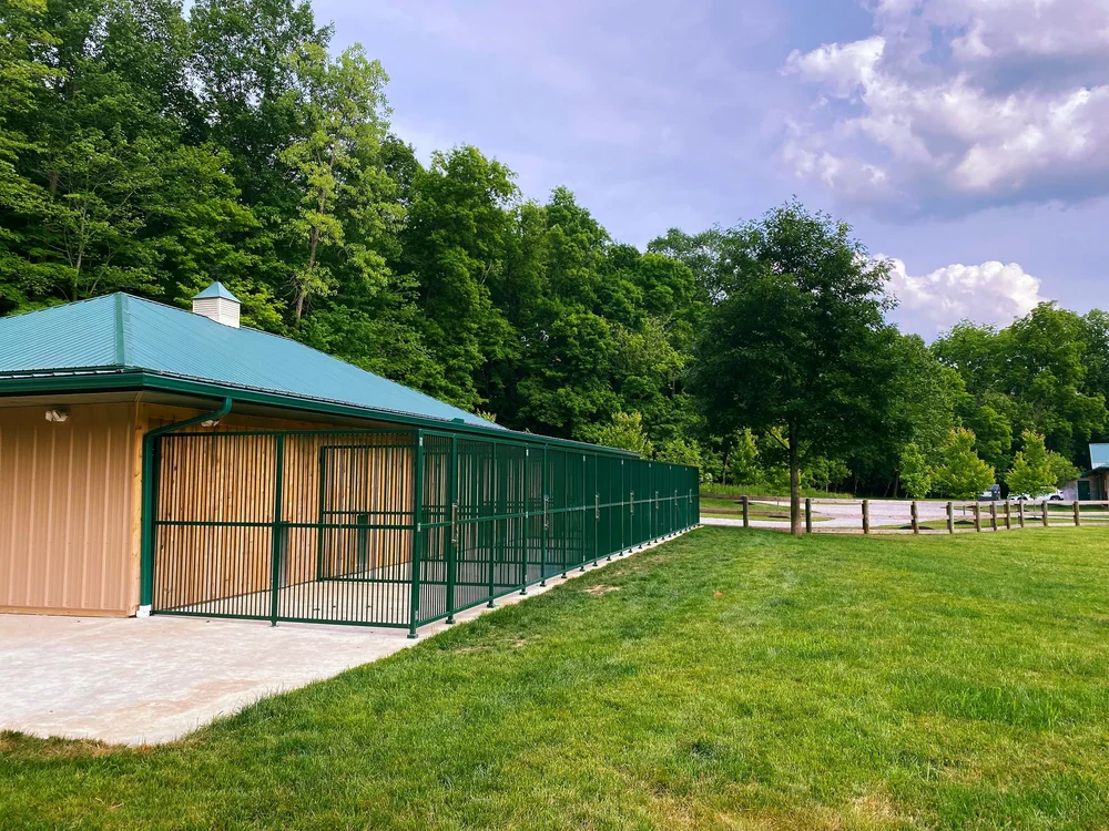 Dog Training Gallery – Joel Slaven's Dog Lodge