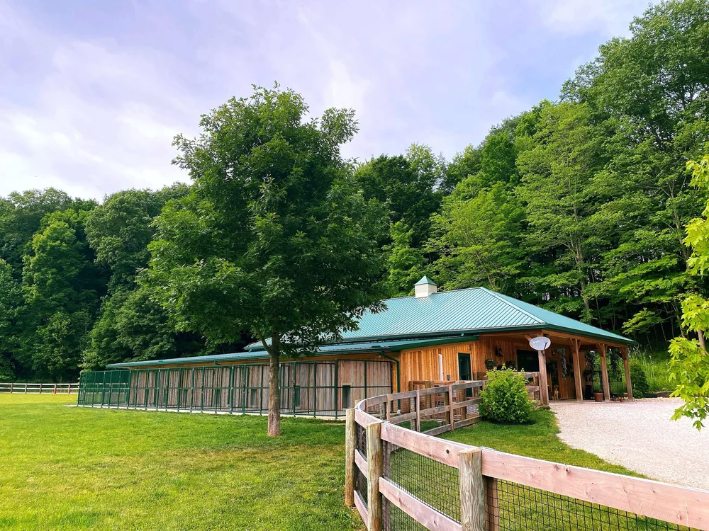 Dog Boarding in Central Ohio – Joel Slaven's Dog Lodge