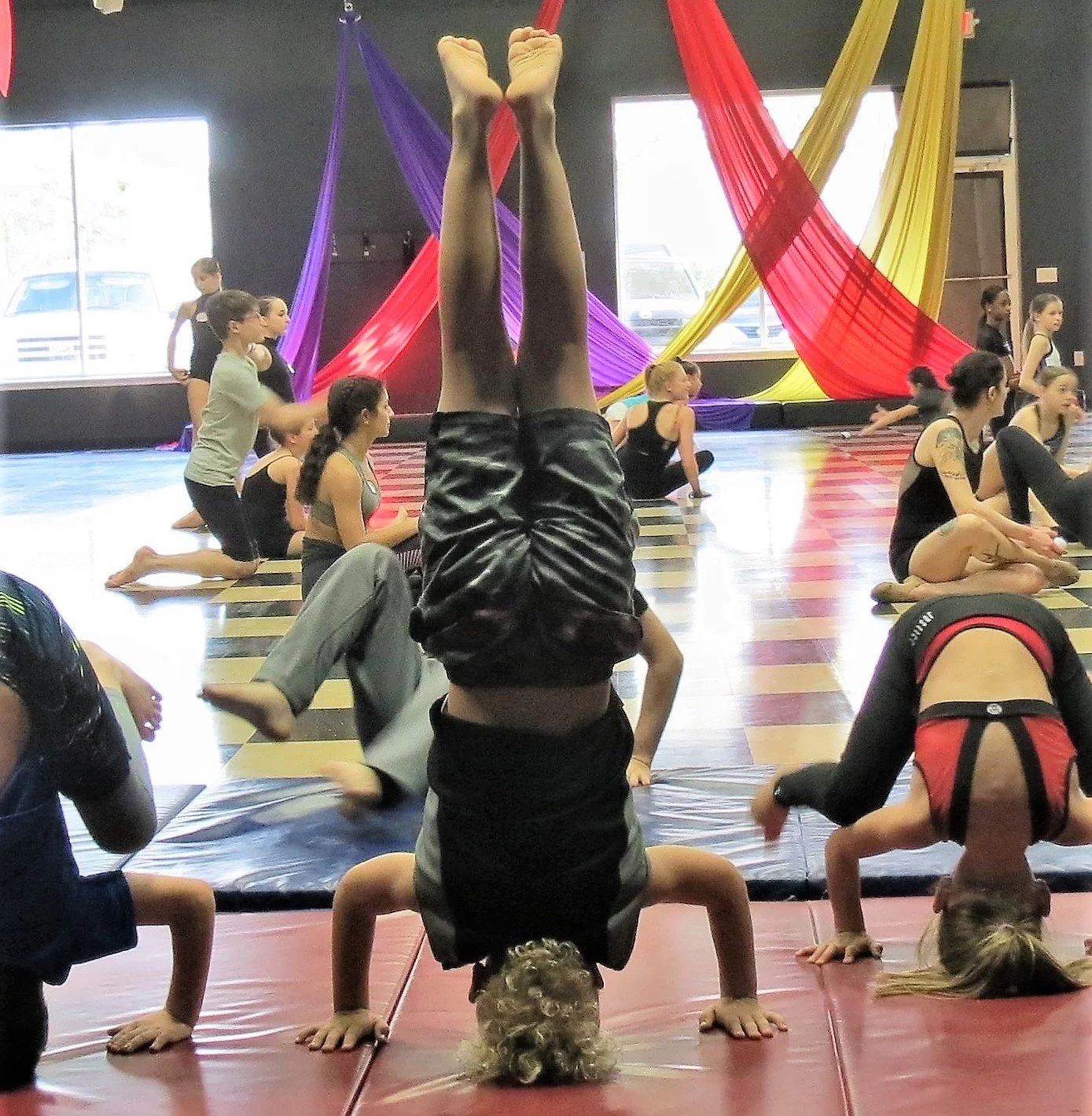 Workshops — Dance & Circus Arts of Tampa Bay