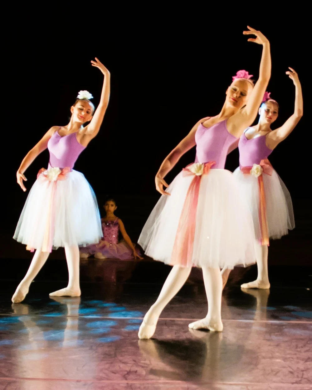 Dance & Circus Arts of Tampa Bay