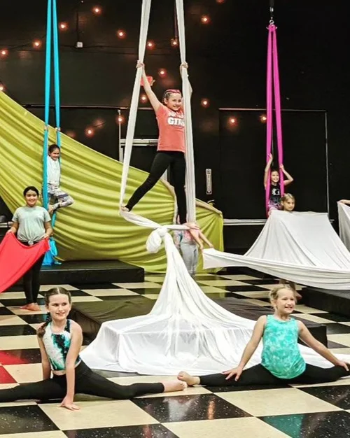 Dance & Circus Arts of Tampa Bay