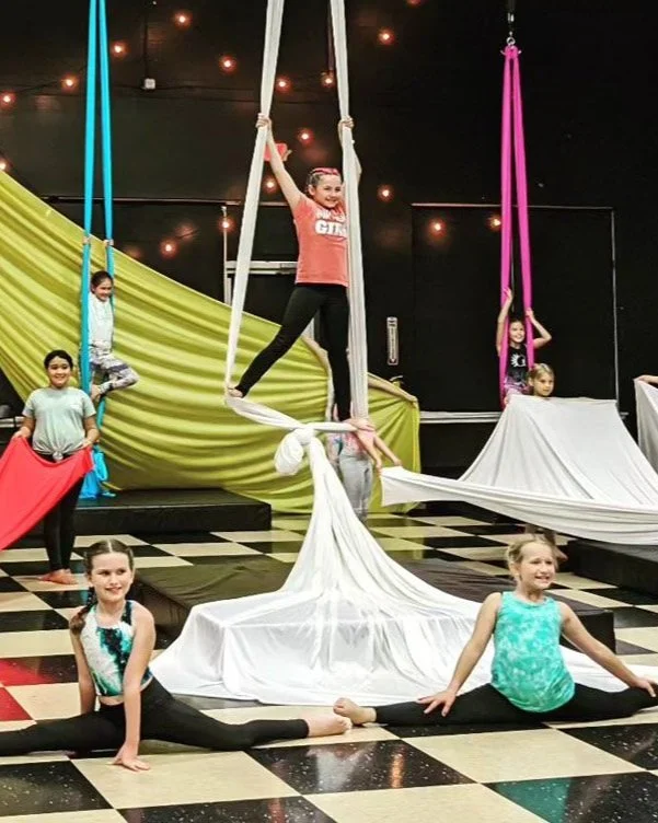 Dance & Circus Arts of Tampa Bay