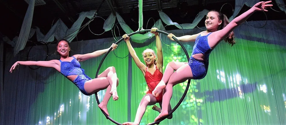 Circus Classes — Dance & Circus Arts of Tampa Bay