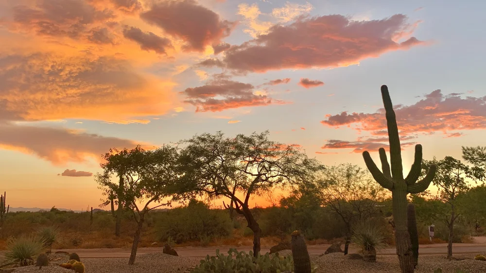 Psychotherapy for the Soul