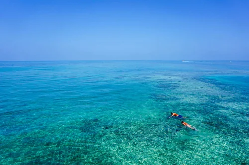 Underwater Wonderland: Scuba Diving Proposal Ideas for Adventure-Loving ...