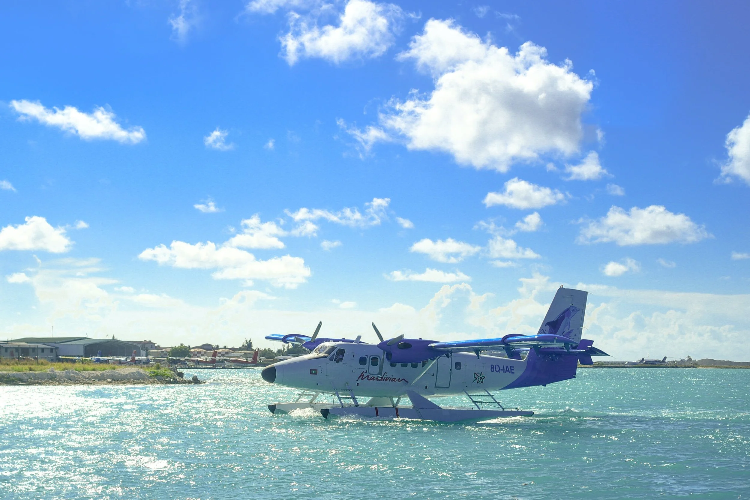 Island Adventure: 7 Exciting Activities to Elevate Your Bahamas ...