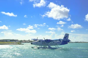 Island Adventure: 7 Exciting Activities to Elevate Your Bahamas ...