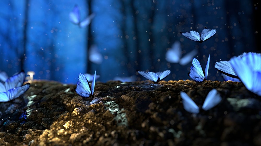 Masayoshi Soken — Distant Worlds: music from FINAL FANTASY