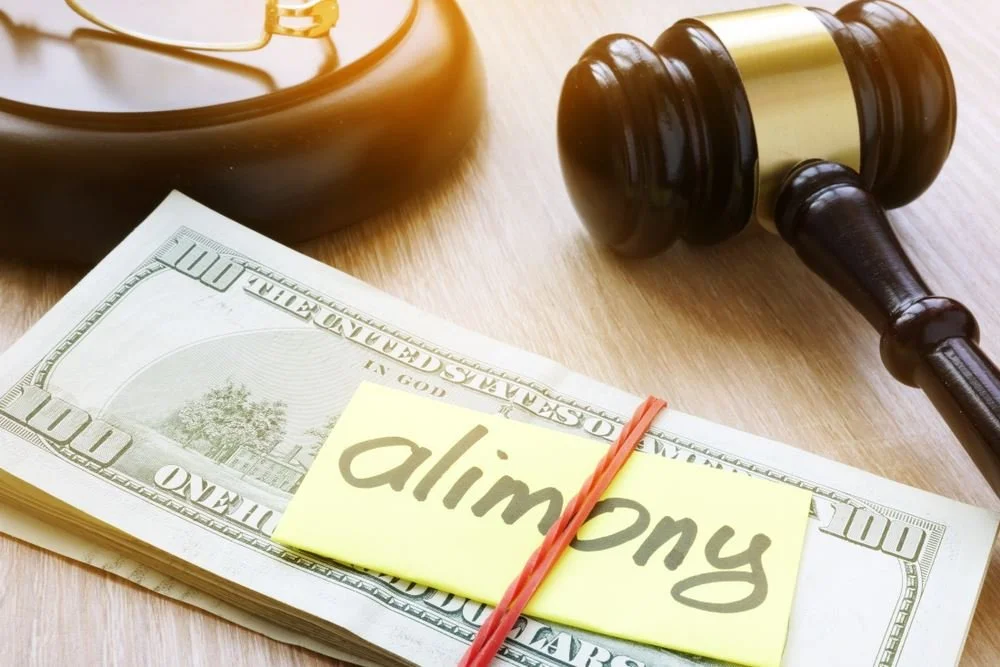 Temporary Alimony in Florida I A Pro Se Divorce Guide - Pro Docs Plus I ...
