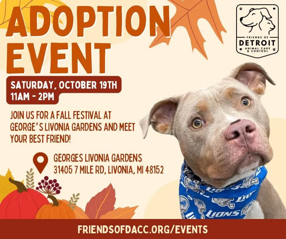 Dog Adoption Event at George's Livonia Gardens — Friends of Detroit ...