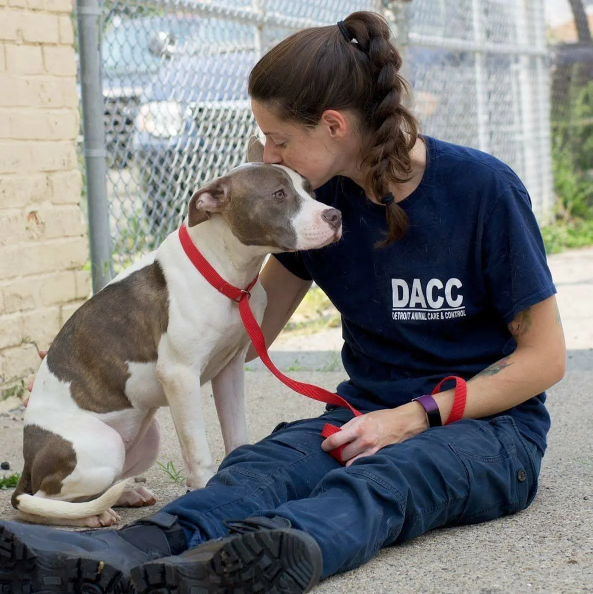 Volunteer — Friends of Detroit Animal Care & Control | Shelter for ...