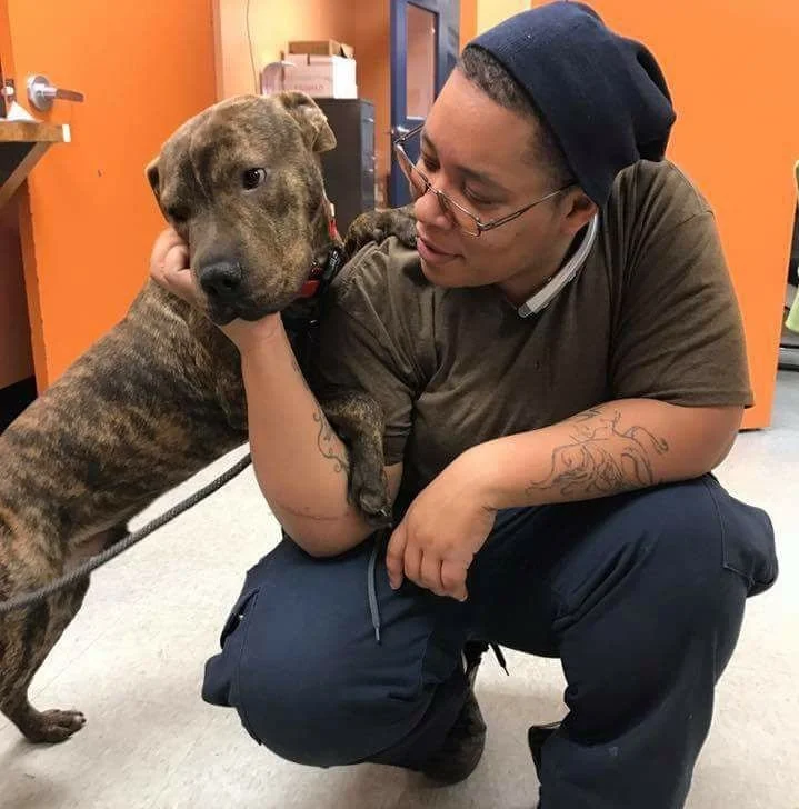 Reporting — Friends of Detroit Animal Care & Control | Shelter for ...