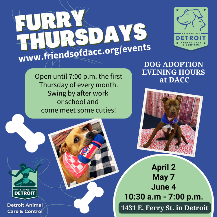 Furry Thursday - Evening Adoption Hours at DACC — Friends of Detroit ...