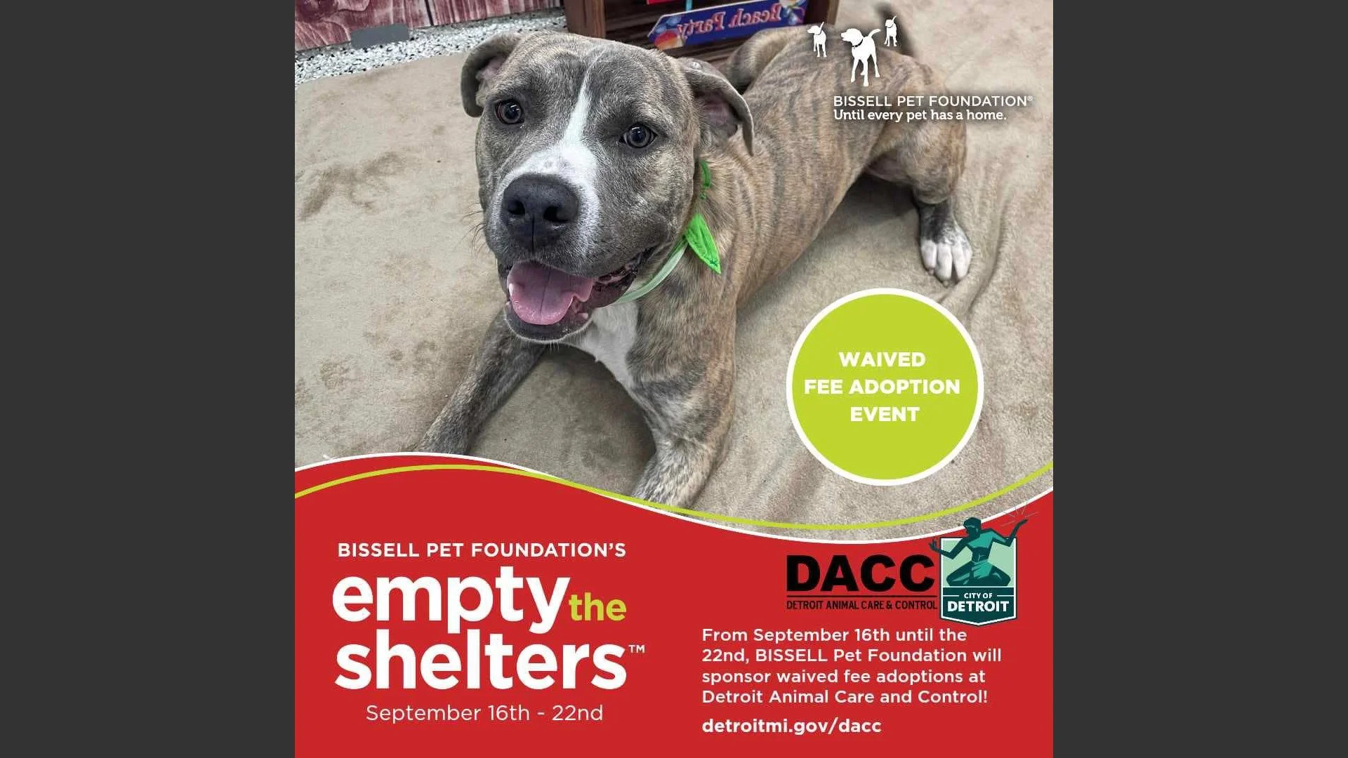 Friends of Detroit Animal Care & Control | Shelter for Homeless Pets