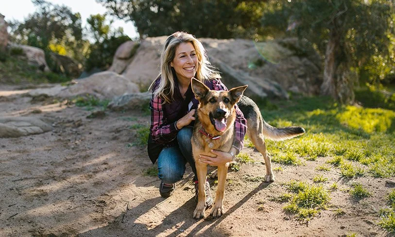 Mountain View Animal Hospital