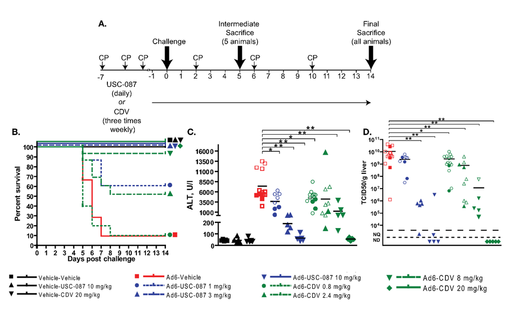 Research — McKenna Lab